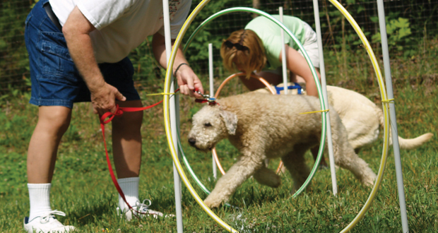 Four Paws Kingdom - Outdoors with Bear Grylls