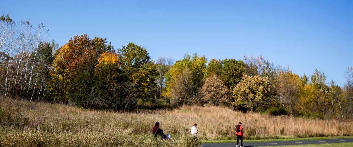 25 Best Campgrounds Near Minneapolis MN in 2023 - Outdoors with Bear Grylls