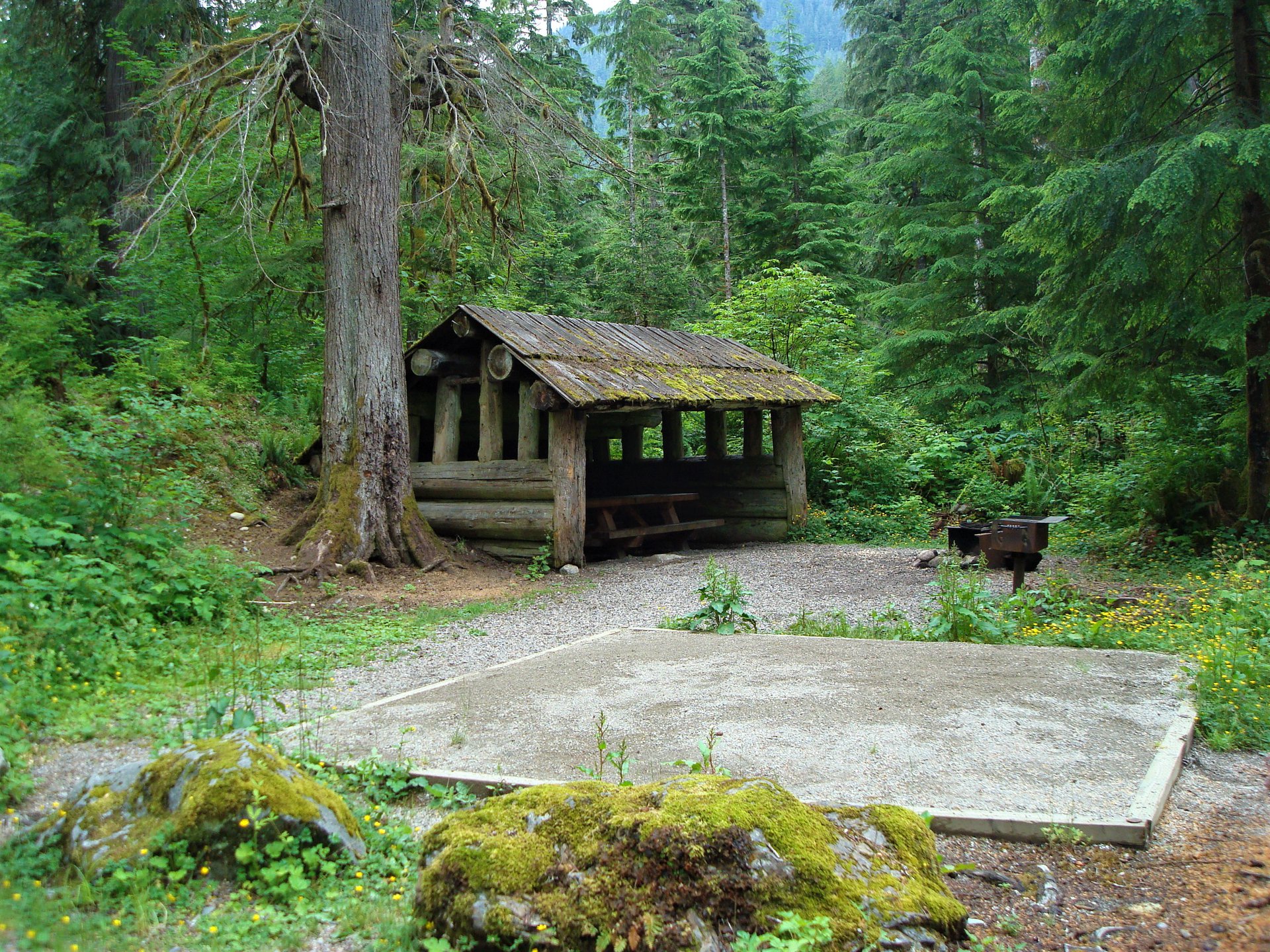 25 Best Campgrounds Near Seattle WA in 2023 - Outdoors with Bear Grylls