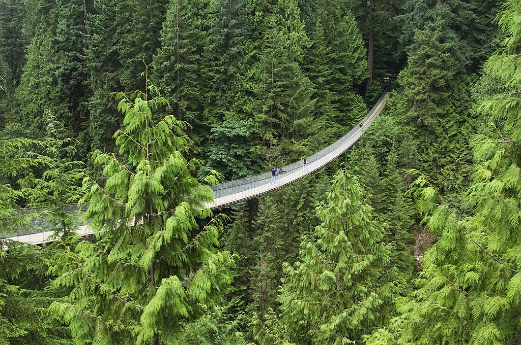 The World’s 16 Most Terrifying Bridges - Outdoors with Bear Grylls