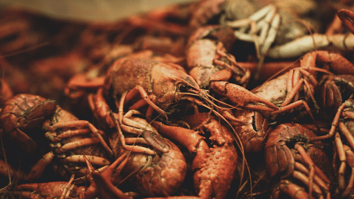 10 Best Places to Catch Crawfish - Outdoors with Bear Grylls