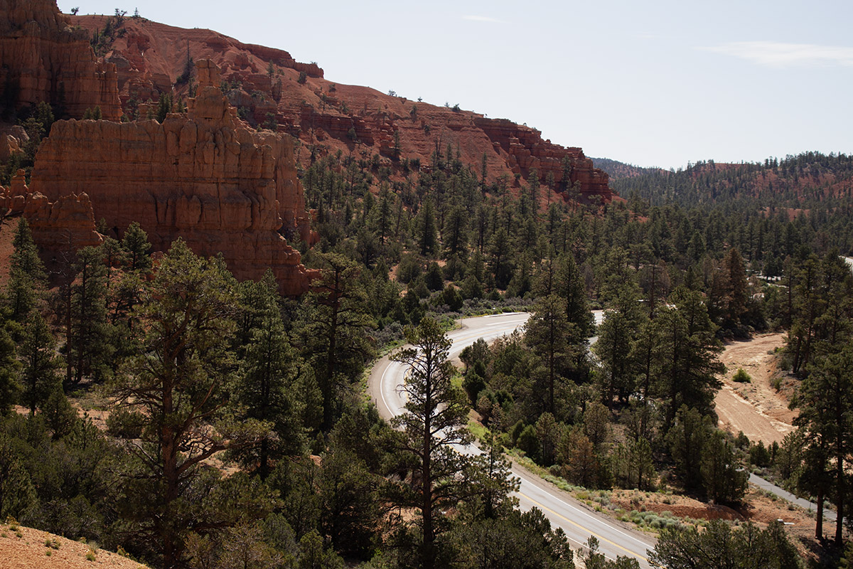 How and Why You Should Visit Red Canyon in Utah’s Dixie National Forest ...