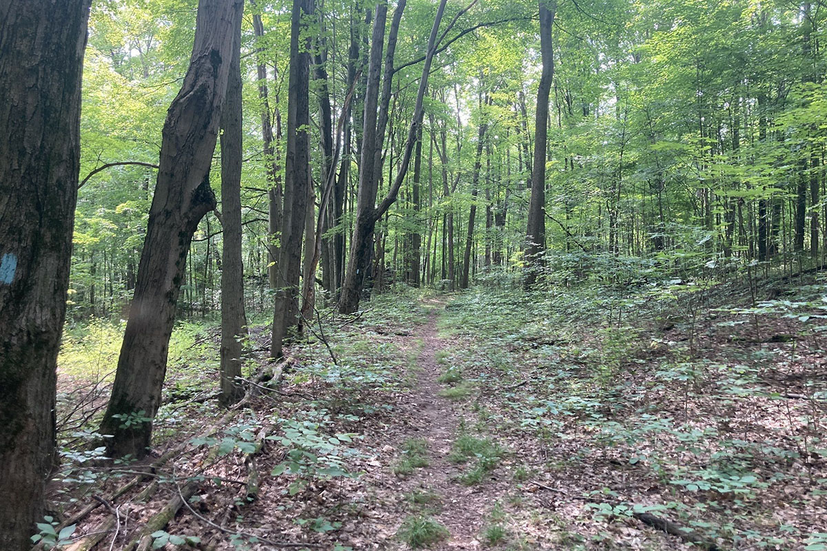 14 Dog-Friendly Trails in the U.S. - Outdoors with Bear Grylls