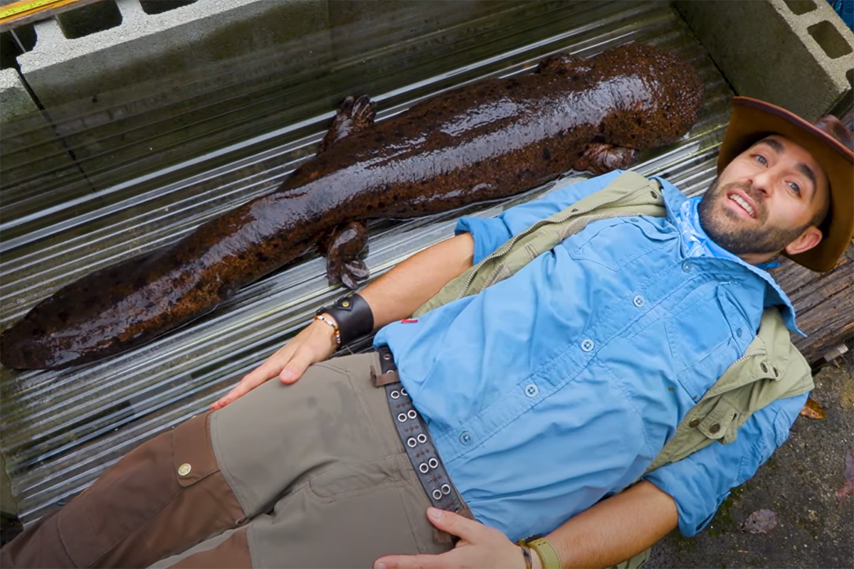 Coyote Peterson on His Wild Career (That Almost Didn’t Happen ...