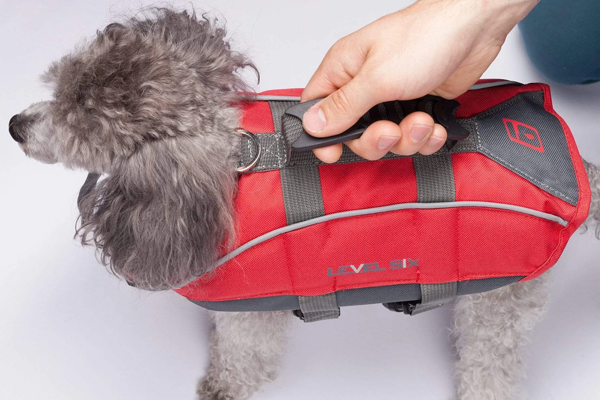Product Spotlight: Level Six Rover Floater Dog PFD - Outdoors with Bear ...