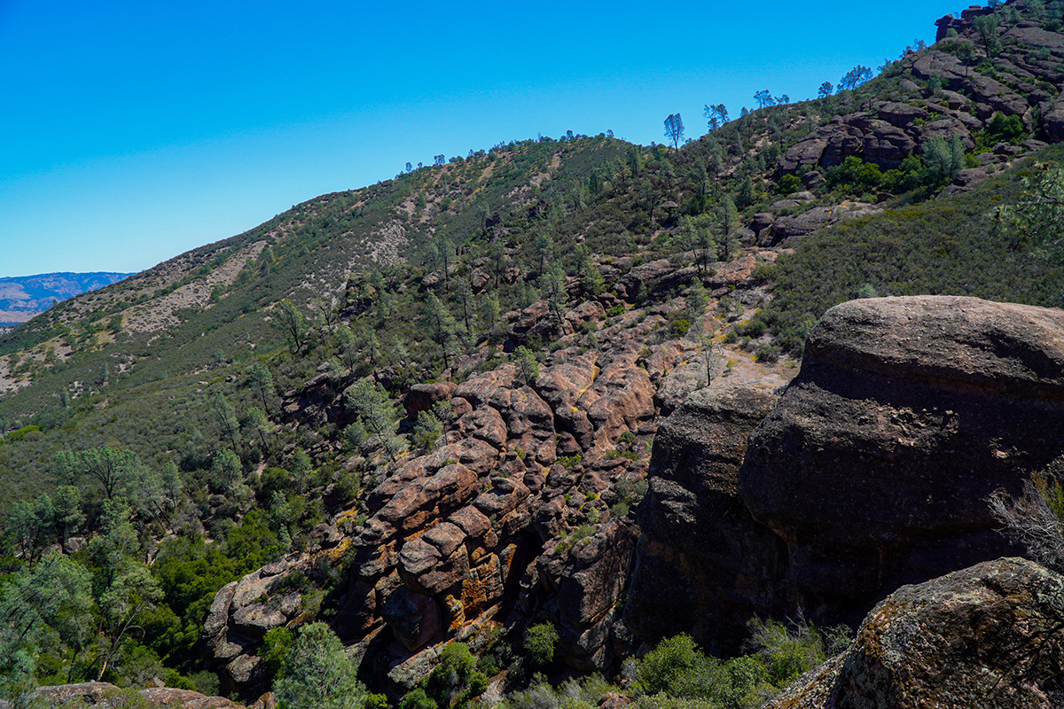 The Complete Guide to Pinnacles National Park - Outdoors with Bear Grylls