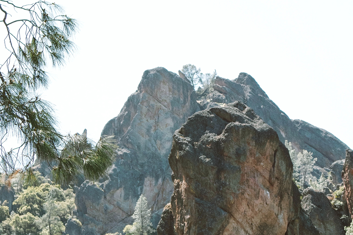 The Complete Guide to Pinnacles National Park - Outdoors with Bear Grylls