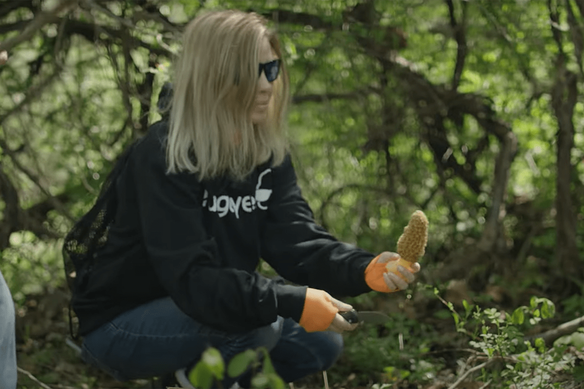 Yes, Mushroom Hunting Glasses Are a Thing—But Do Fungeyes Actually Help ...