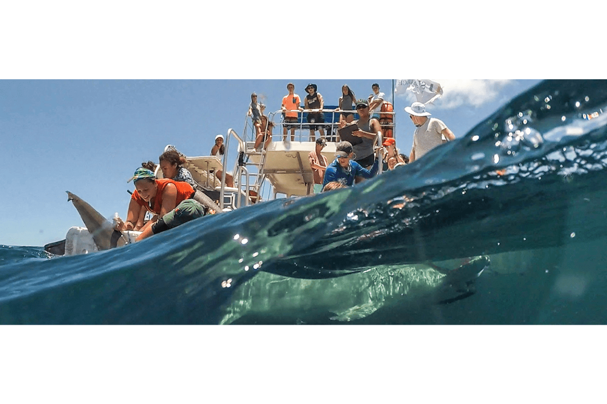 The Best U.S. Colleges and Universities for Outdoor Lovers - Outdoors ...