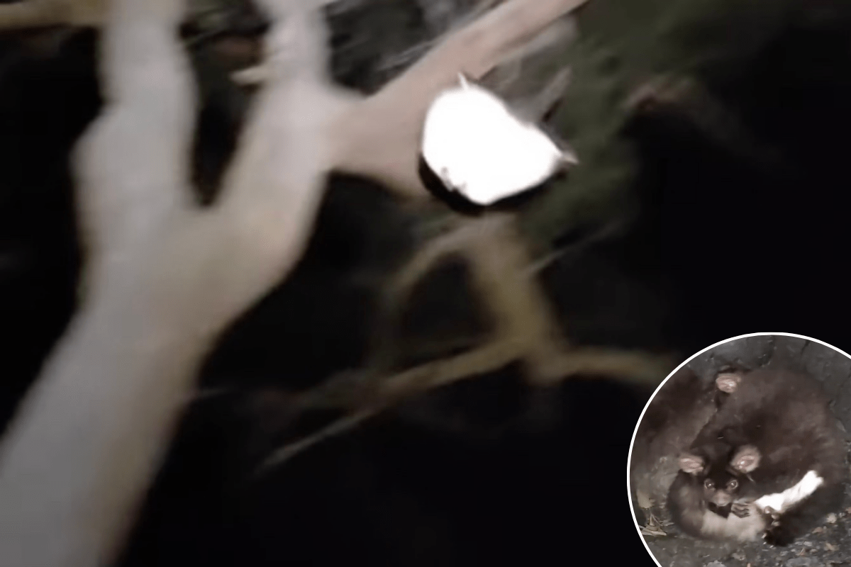 Outdoors - The Home of Adventure with Bear Grylls